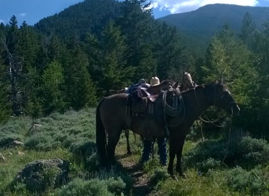 Gallery – Elk River Outfitters