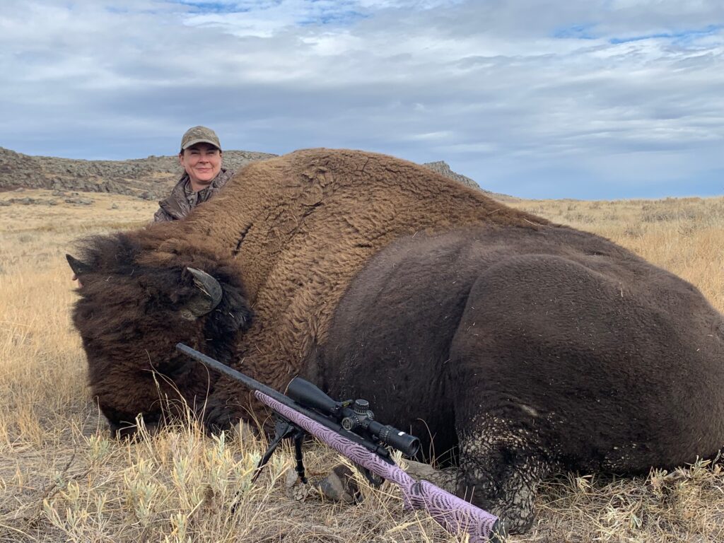 Buffalo Hunts – Elk River Outfitters