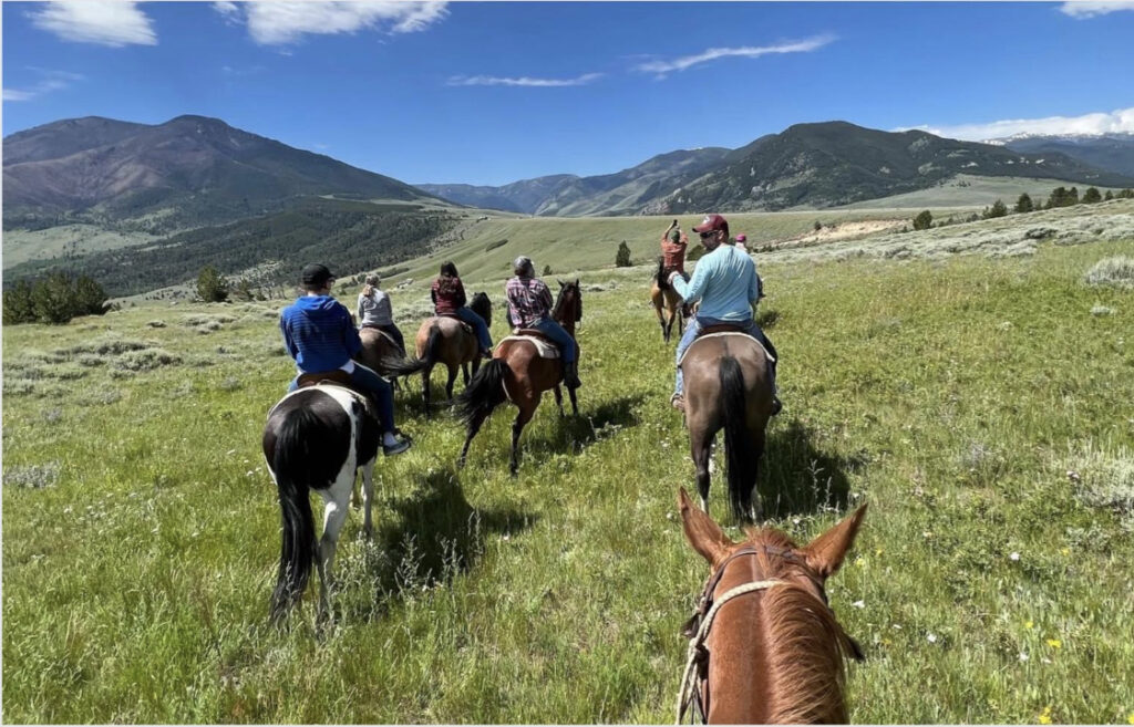 Red Lodge Horseback Rides – Elk River Outfitters